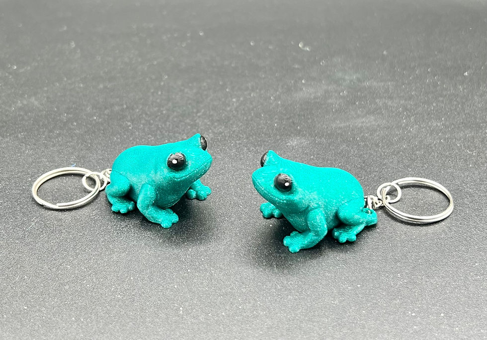 Frog Keyrings | 3d by Siân