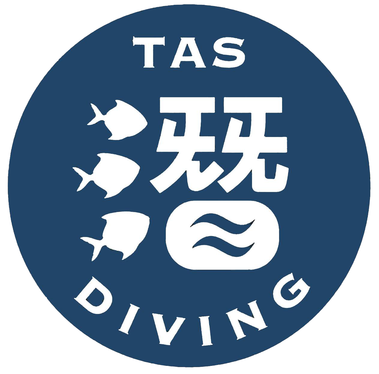 TAS Diving | 香港潛水 | 體驗潛水 | 潛水課程