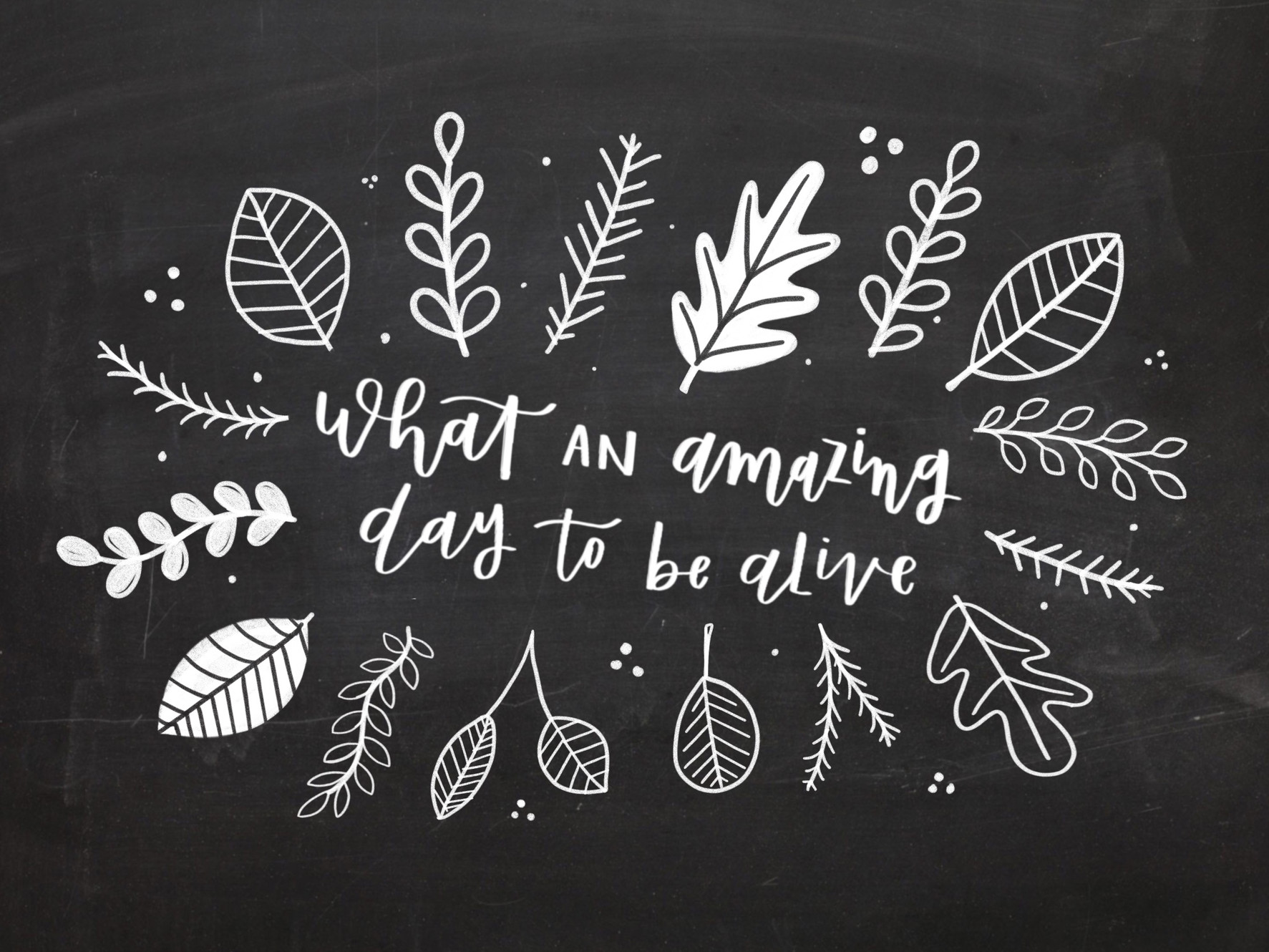 Hannah Rose Co | Hand Lettering & Graphic Design