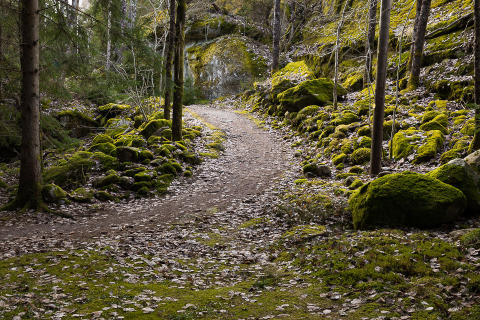 Strømstad - den grønne skogen