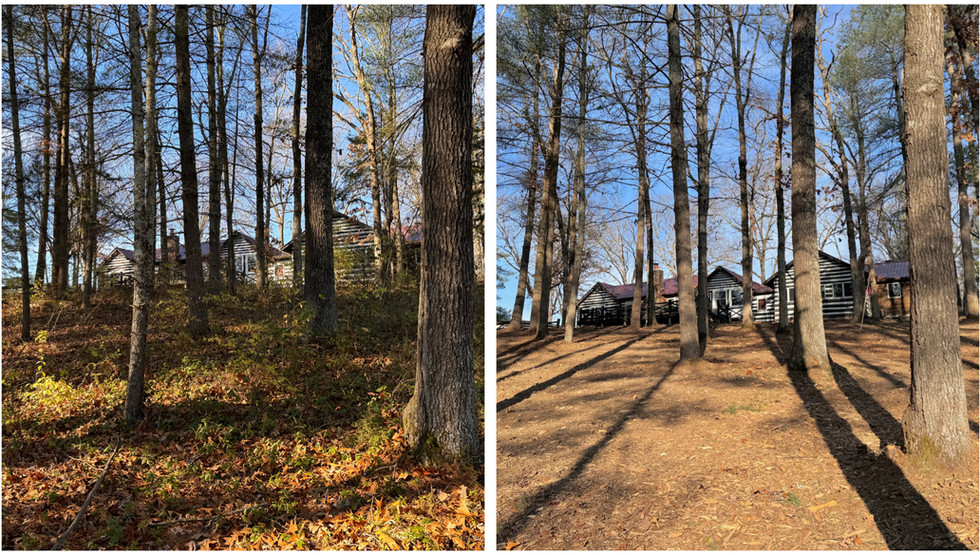 Land Clearing Gallery | Missouri Brush Control
