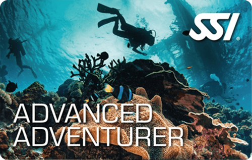 Advanced | FRENCH TOUCH DIVING