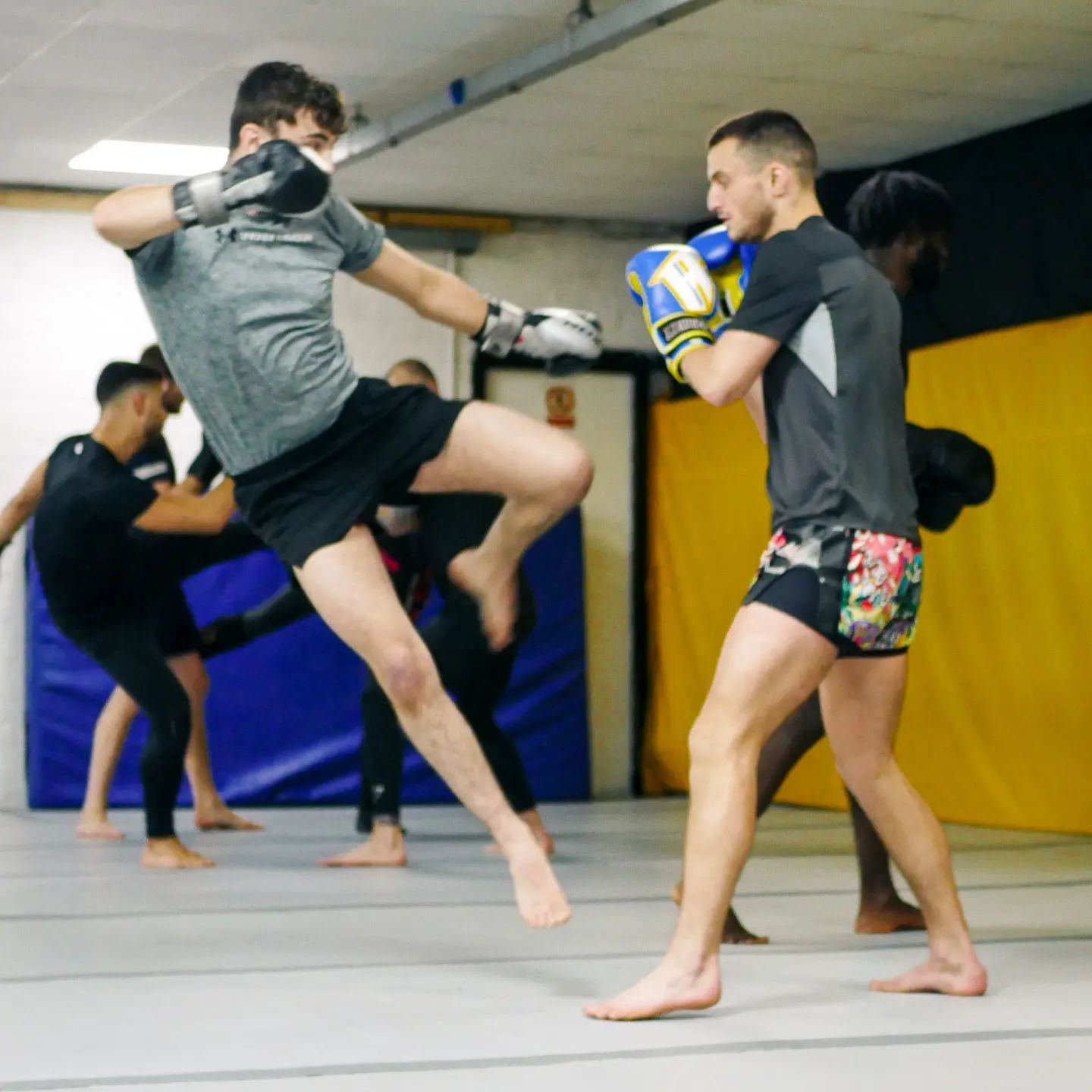 Mixed Martial Arts Manchester | Predators MMA and BJJ Academy United ...