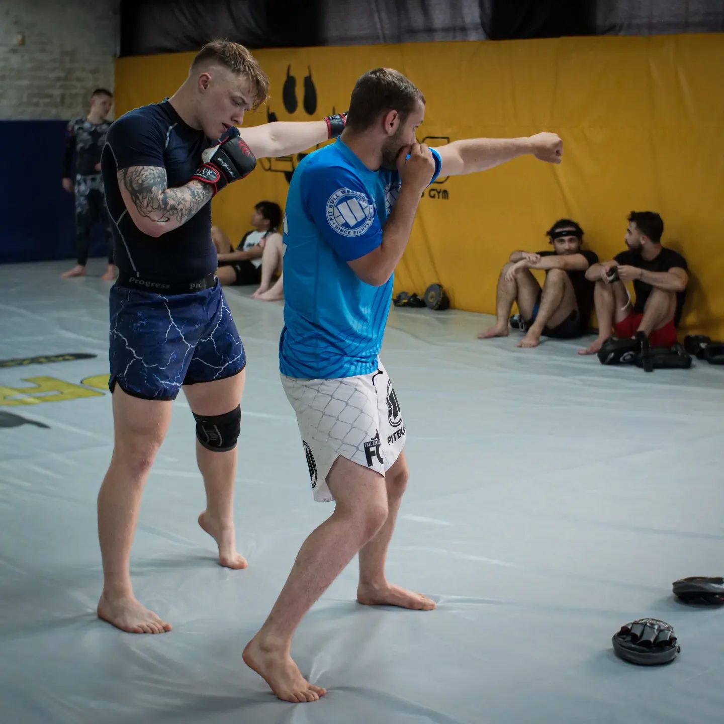 Mixed Martial Arts Manchester | Predators MMA and BJJ Academy United ...