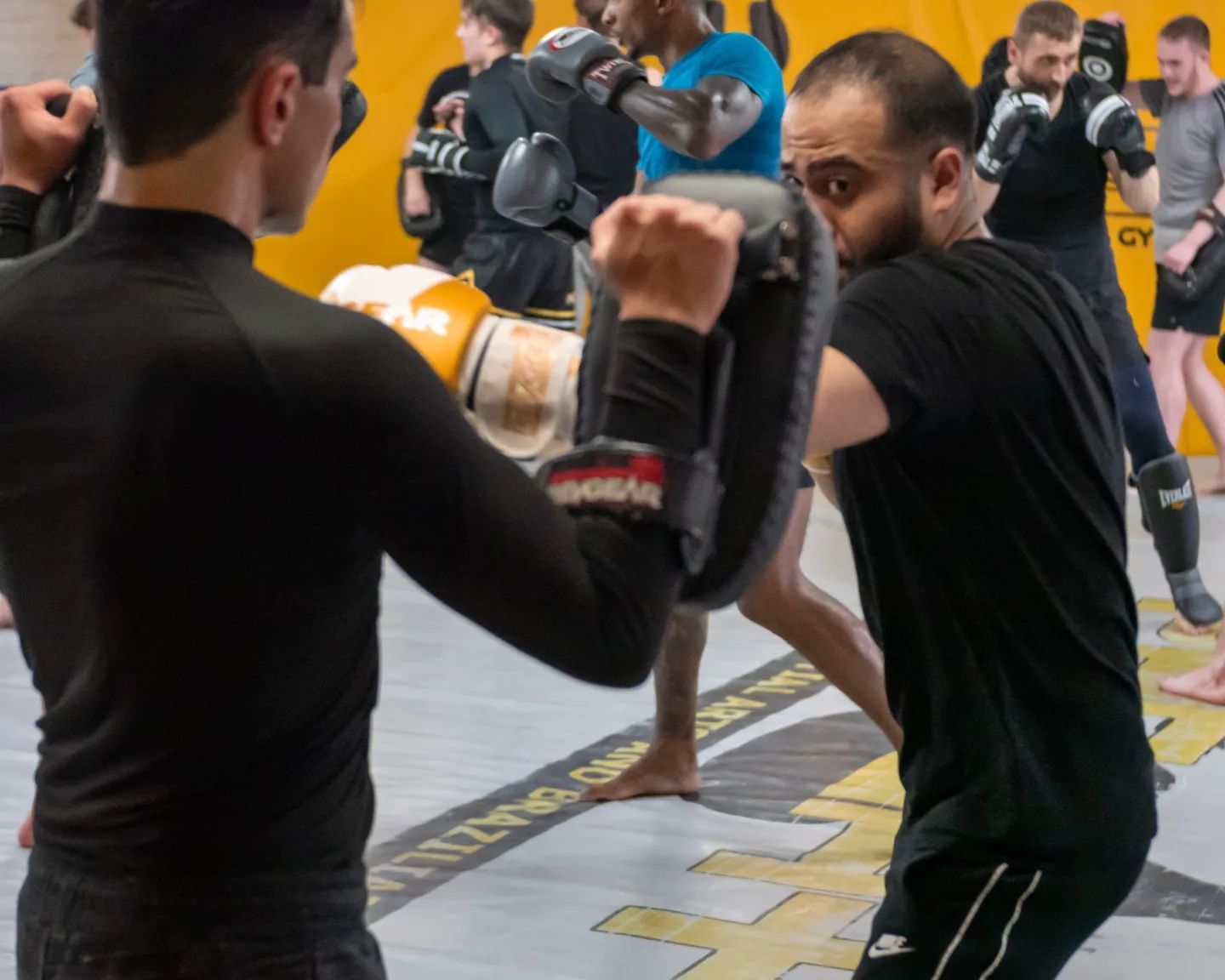 Mixed Martial Arts Manchester | Predators MMA and BJJ Academy United ...