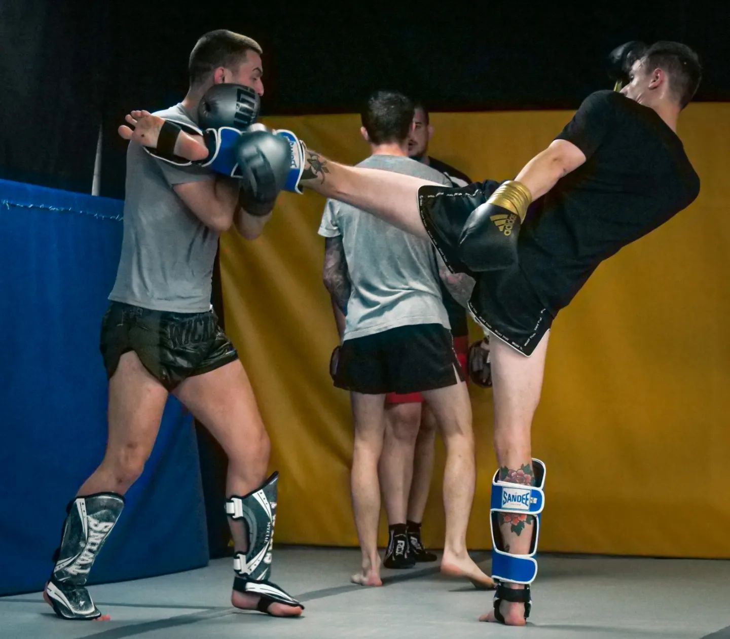 Mixed Martial Arts Manchester | Predators MMA and BJJ Academy United ...
