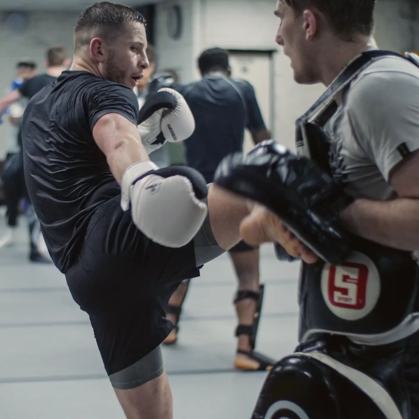 Mixed Martial Arts Manchester | Predators MMA and BJJ Academy United ...