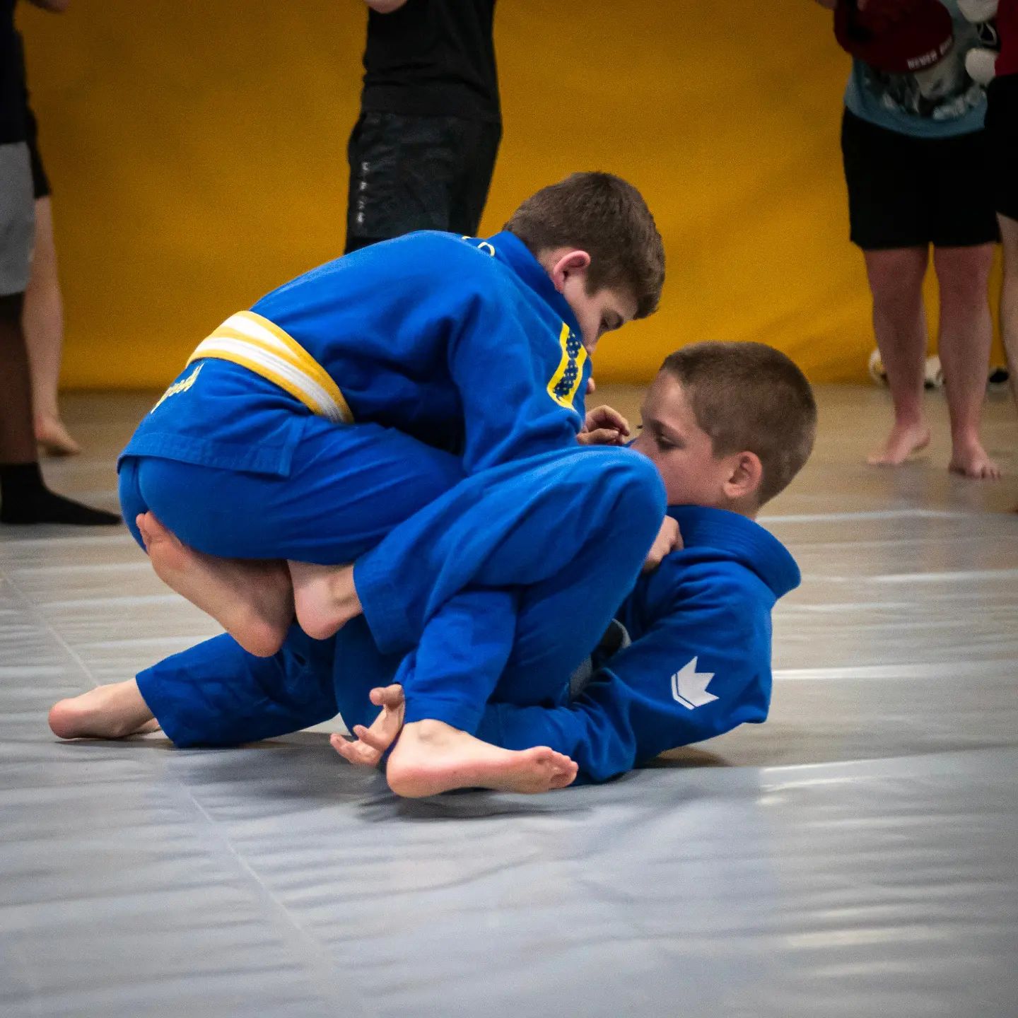 Mixed Martial Arts Manchester | Predators MMA and BJJ Academy United ...