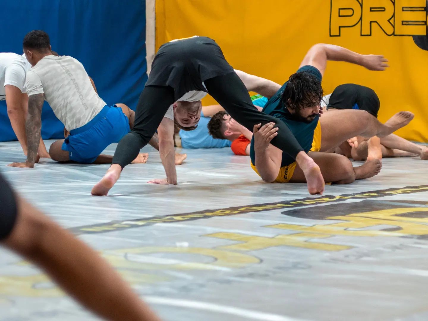 Predators MMA and BJJ Academy in Manchester