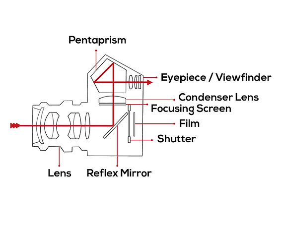 single lens reflector camera