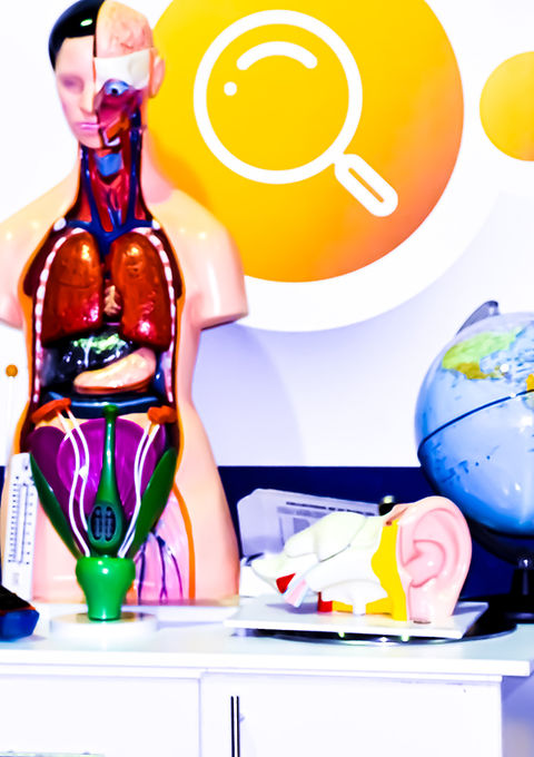 GRADE 10-12 LIFE SCIENCE KITS | SCIENCE CAPITAL SA