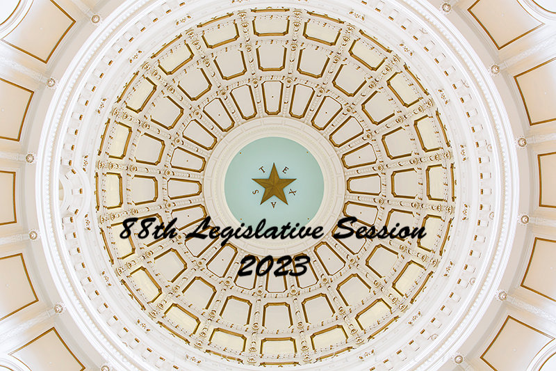 Minority Party House Committee Chairs, 88th TX Legislative Session