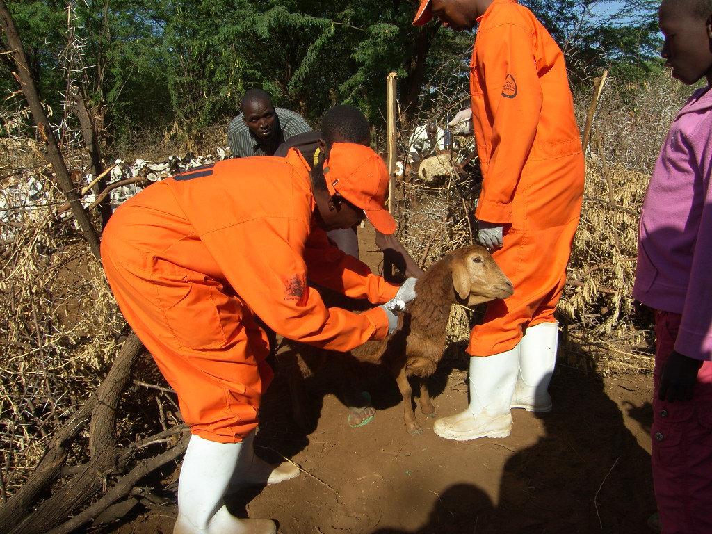 World Animal Protection