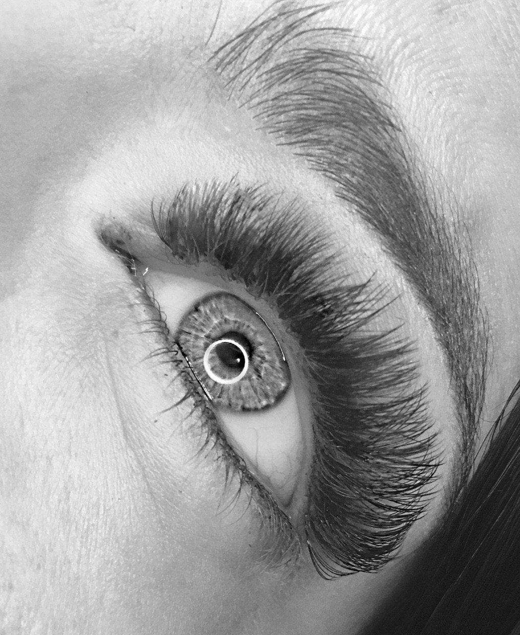 Home | highlashcouture