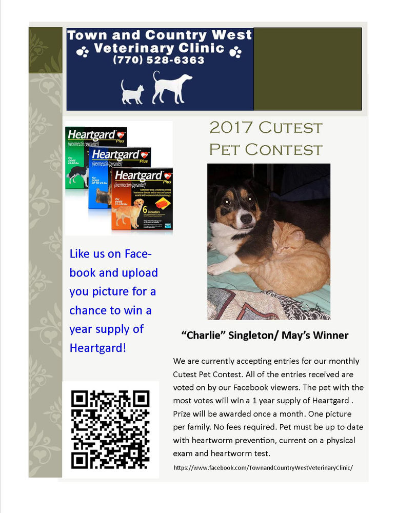 Cutest Pet Contest 2nd Winner