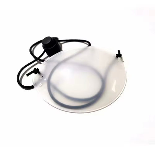 TRANSLUCENT EYE PATCH - ADJUSTABLE | Hummingbird Hues