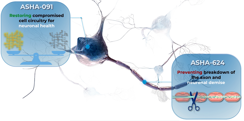 Science | Asha Therapeutics