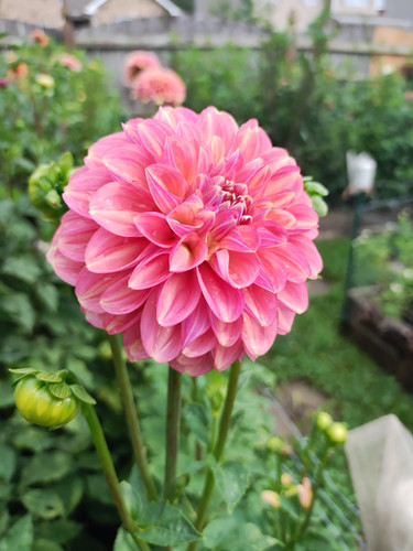 Milena Fleur | Taylor'd Bakes and B