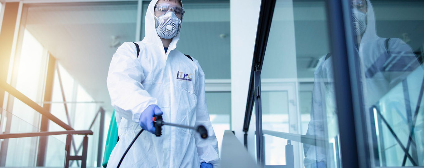 Integrated Team Pest Control | United Arab Emirates | Professional Pest ...