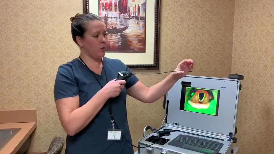 Fiberoptic Endoscopic Evaluation of Swallowing (FEES)