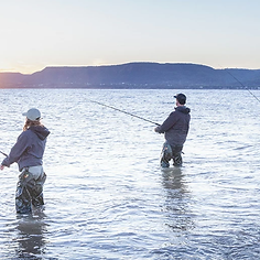 Pêche au Bar rayé | Avec guide à Carleton-sur-Mer