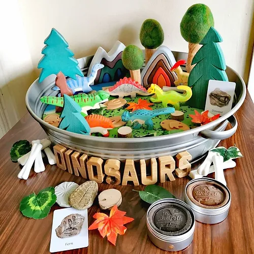 Fossil Identification Cards | The Toy Shop