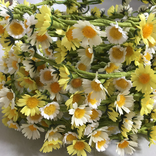 Daisy Garland | The Toy Shop