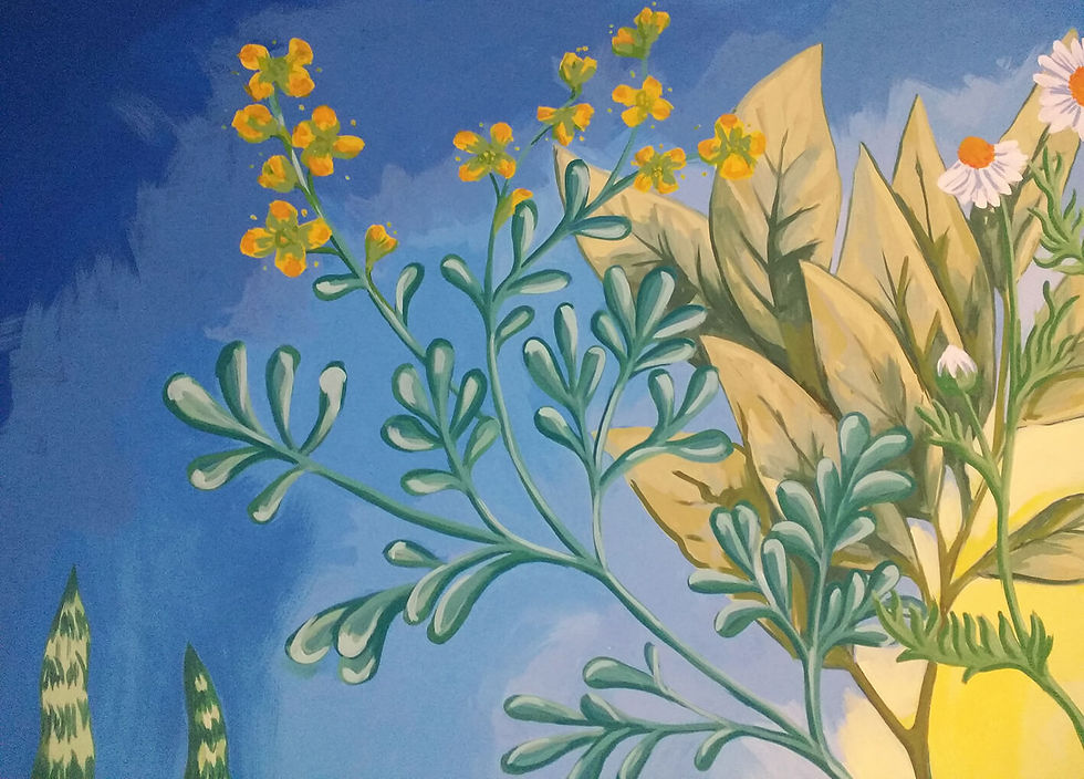 Murais | Julia Kobus Art