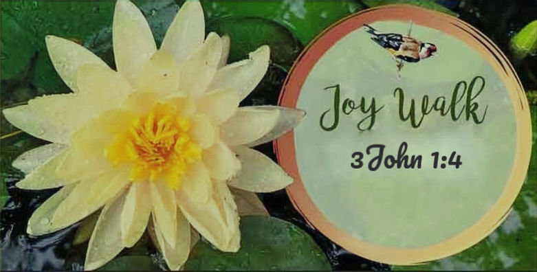 Joy-Walkin’
