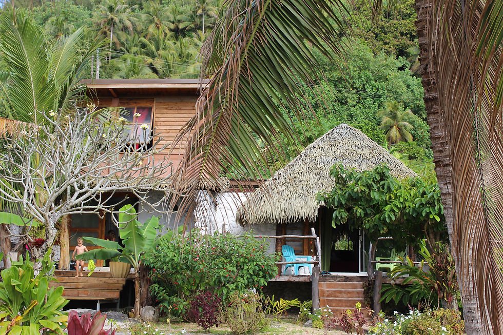 Rurutu, petit paradis vert