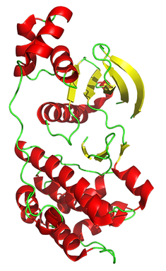 3D STRUCTURE | mark2