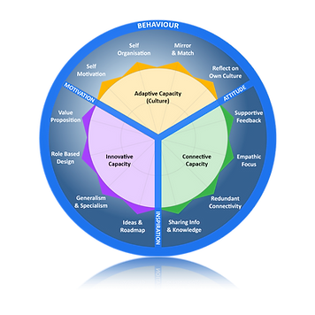 What is Swarm? | Swarm Organisation | Netherlands
