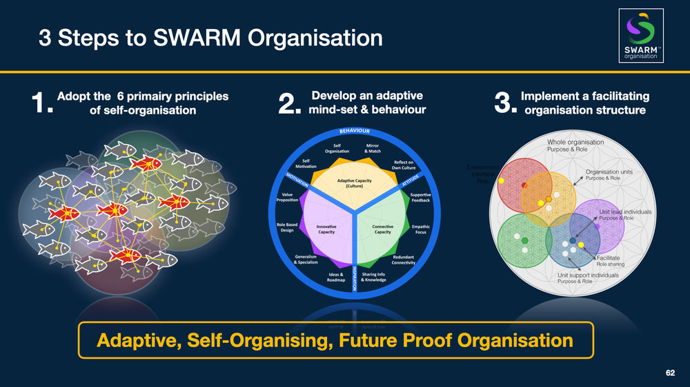 3 steps to SWARM Organisation