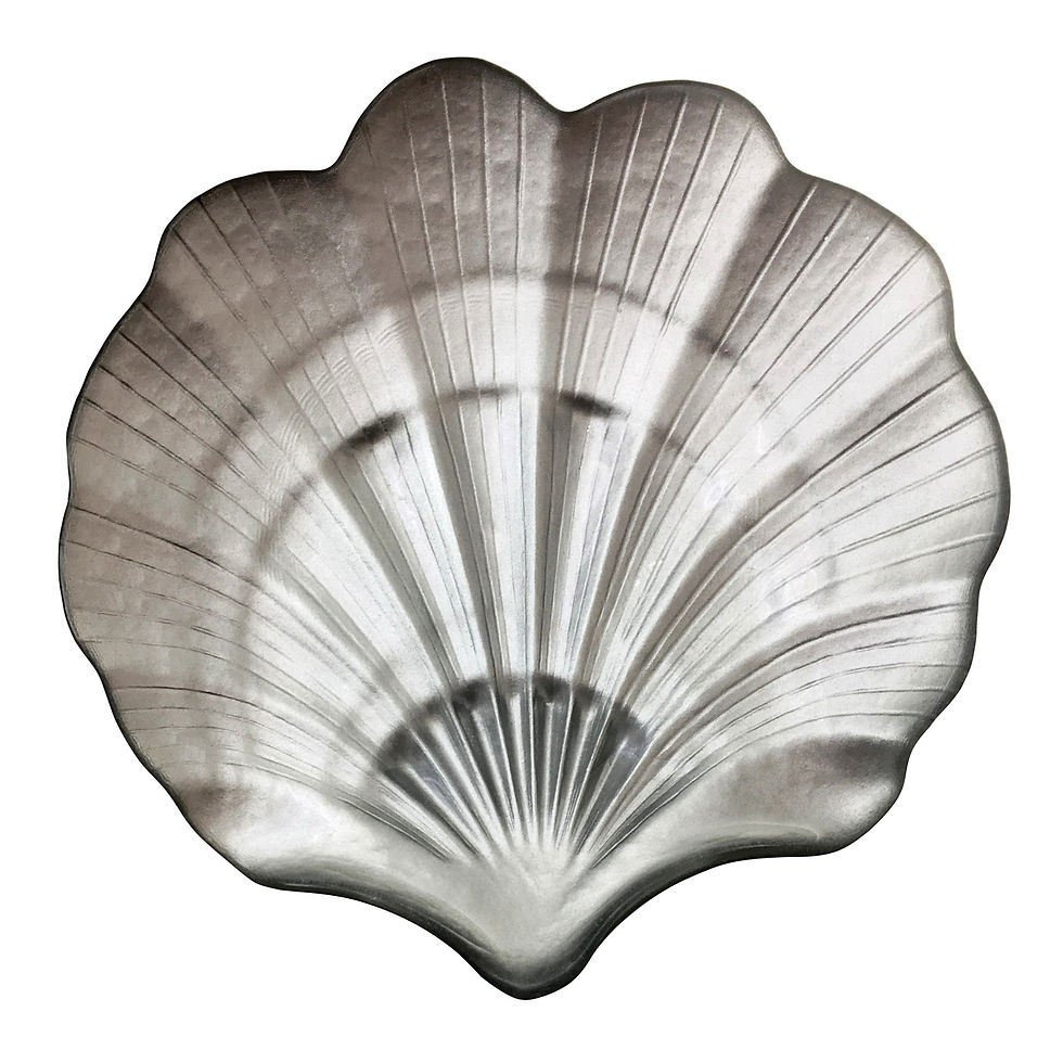 SCALLOP SHELL 8" Plate | verranova