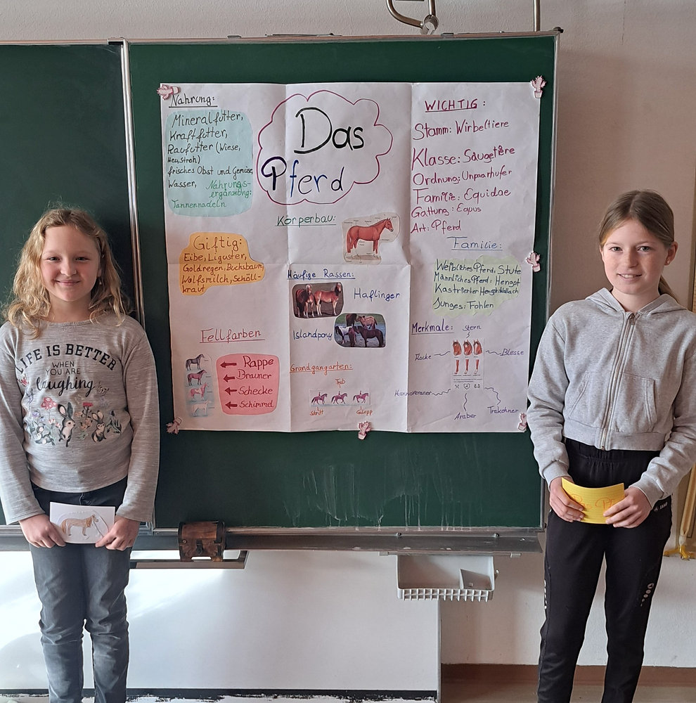 Plakate Biologie-Referate 1. Klassen
