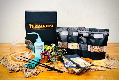 DIY Terrarium | The Complete Kit | The Terrarium