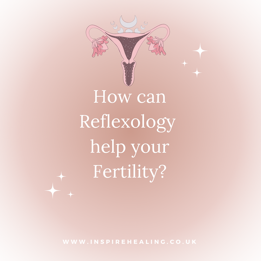 Reflexology And Fertility How Can It Help