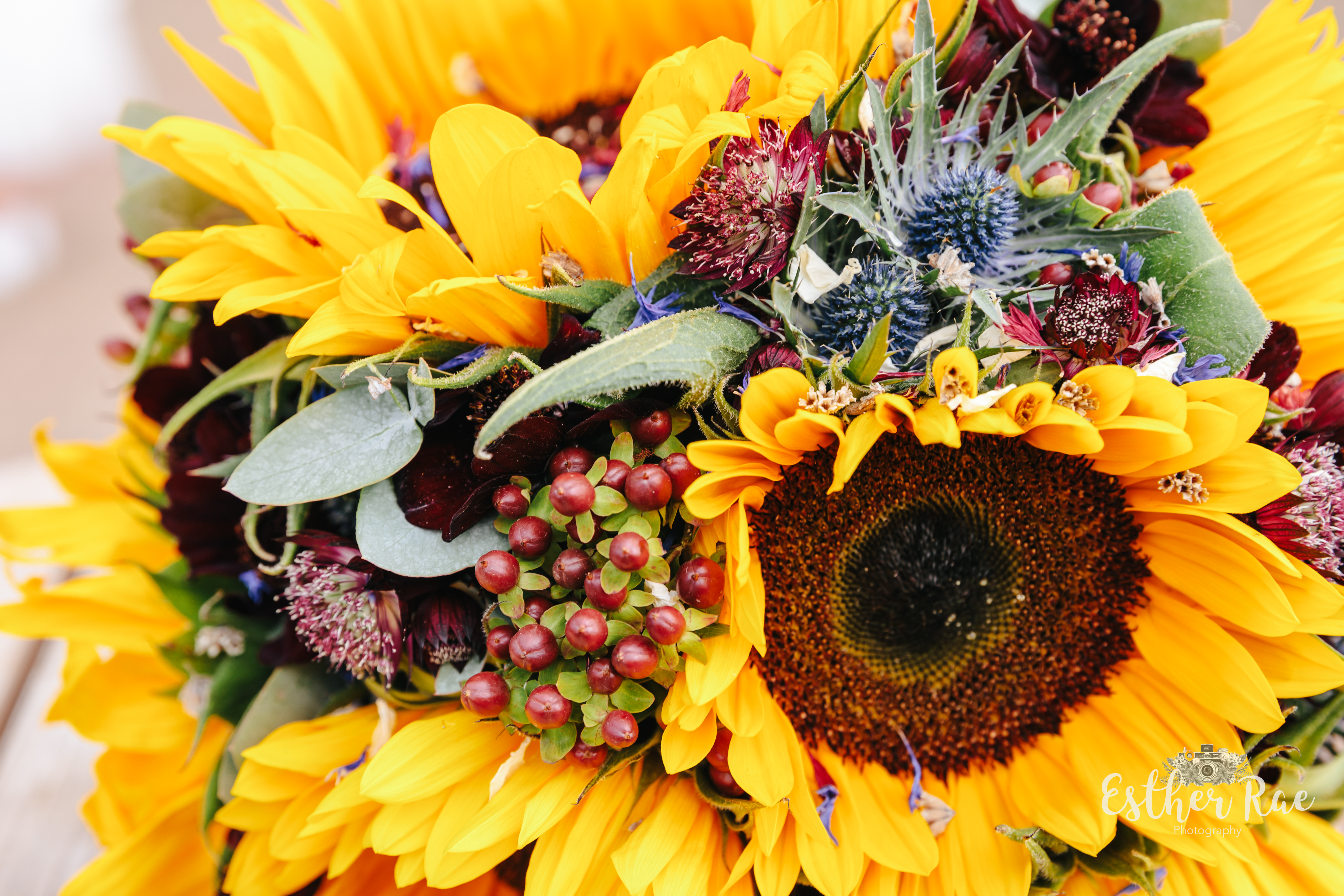 Photographer | Bexleyheath, UK | Esther Rae Photography