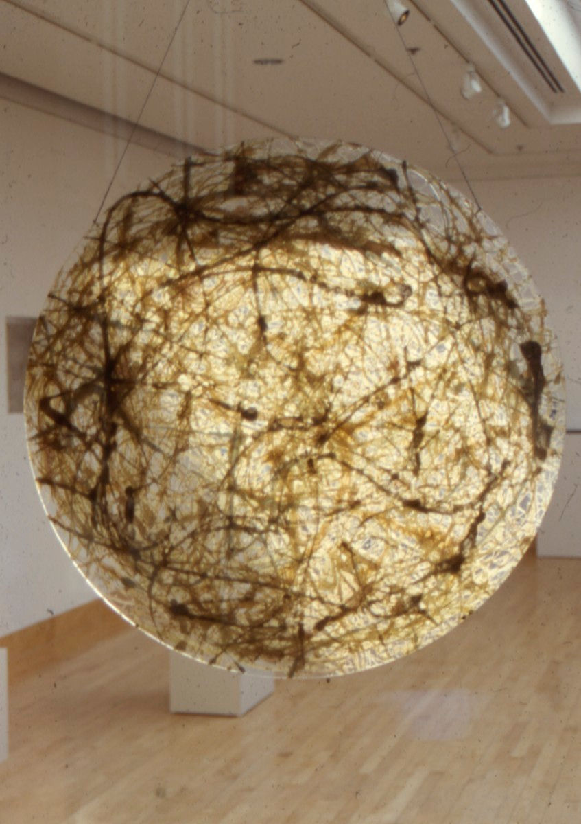 1960s | Al Hebert's Gallery