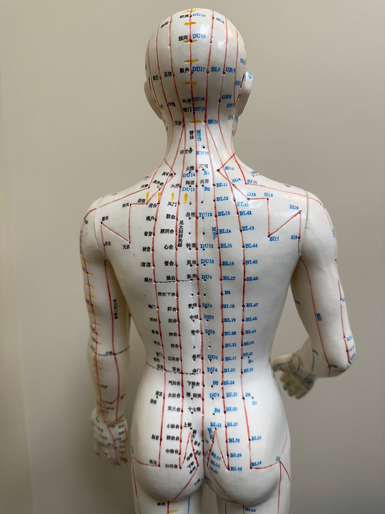 Meridians and Points of Acupuncture | Jenny Lea L.Ac. Fargo ND Acupuncture