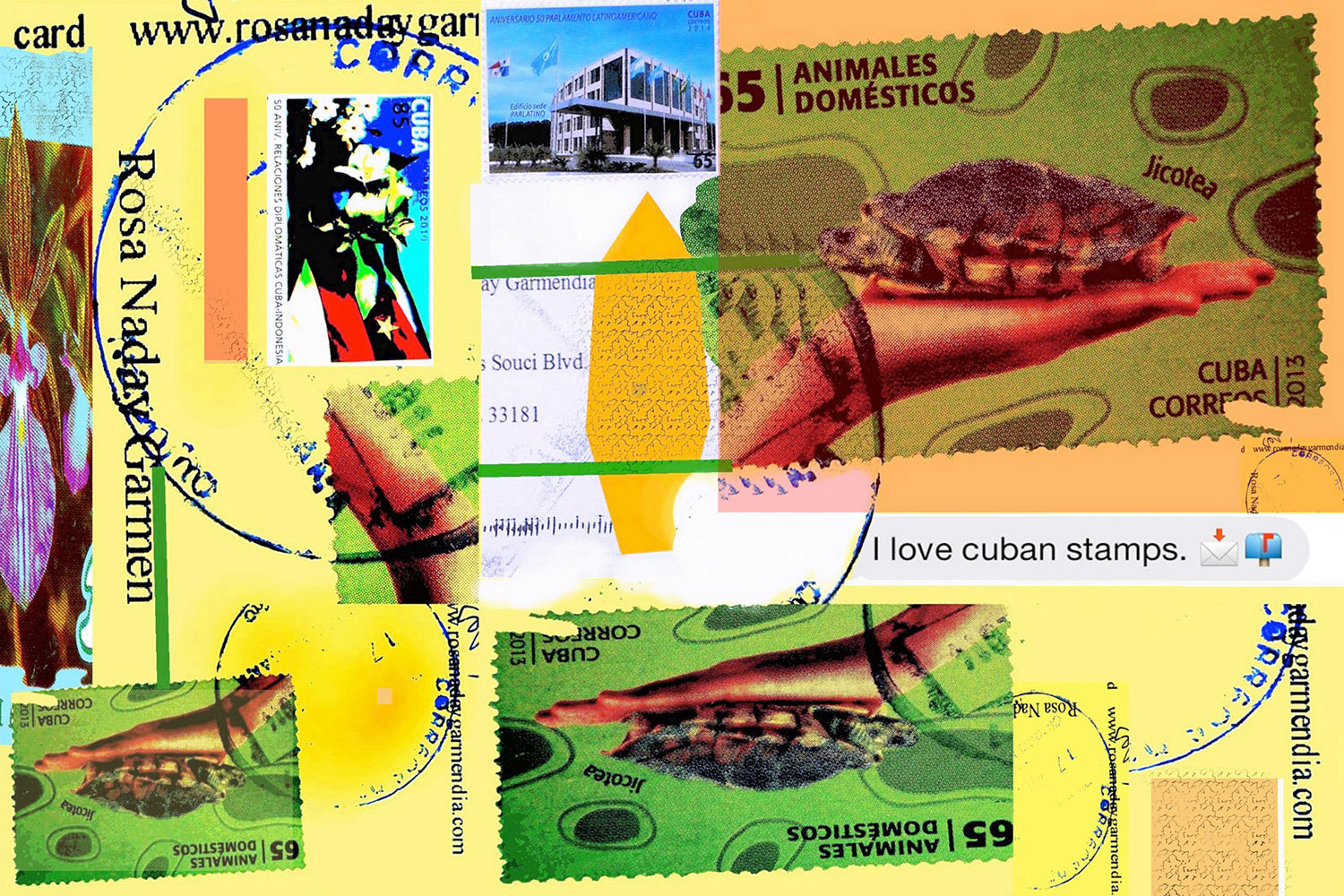 Rosa Naday Garmendia