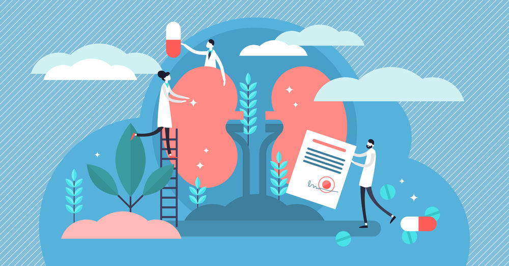Artificial Intelligence in Nephrology – From Non-Invasive Detection to ... Artificial Intelligence in Nephrology – From Non-Invasive Detection to ...