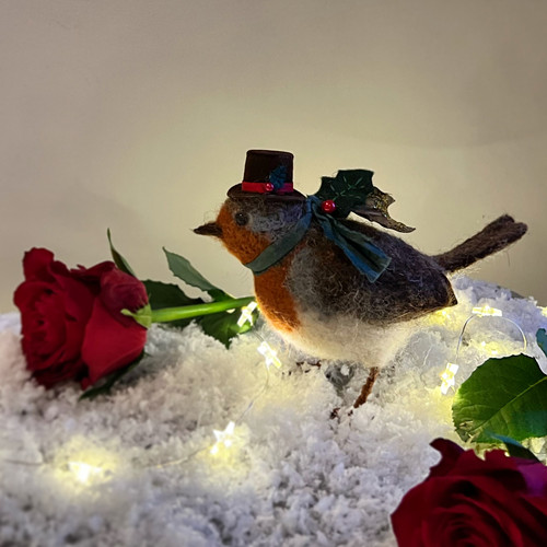 Arthur robin | wildandwool