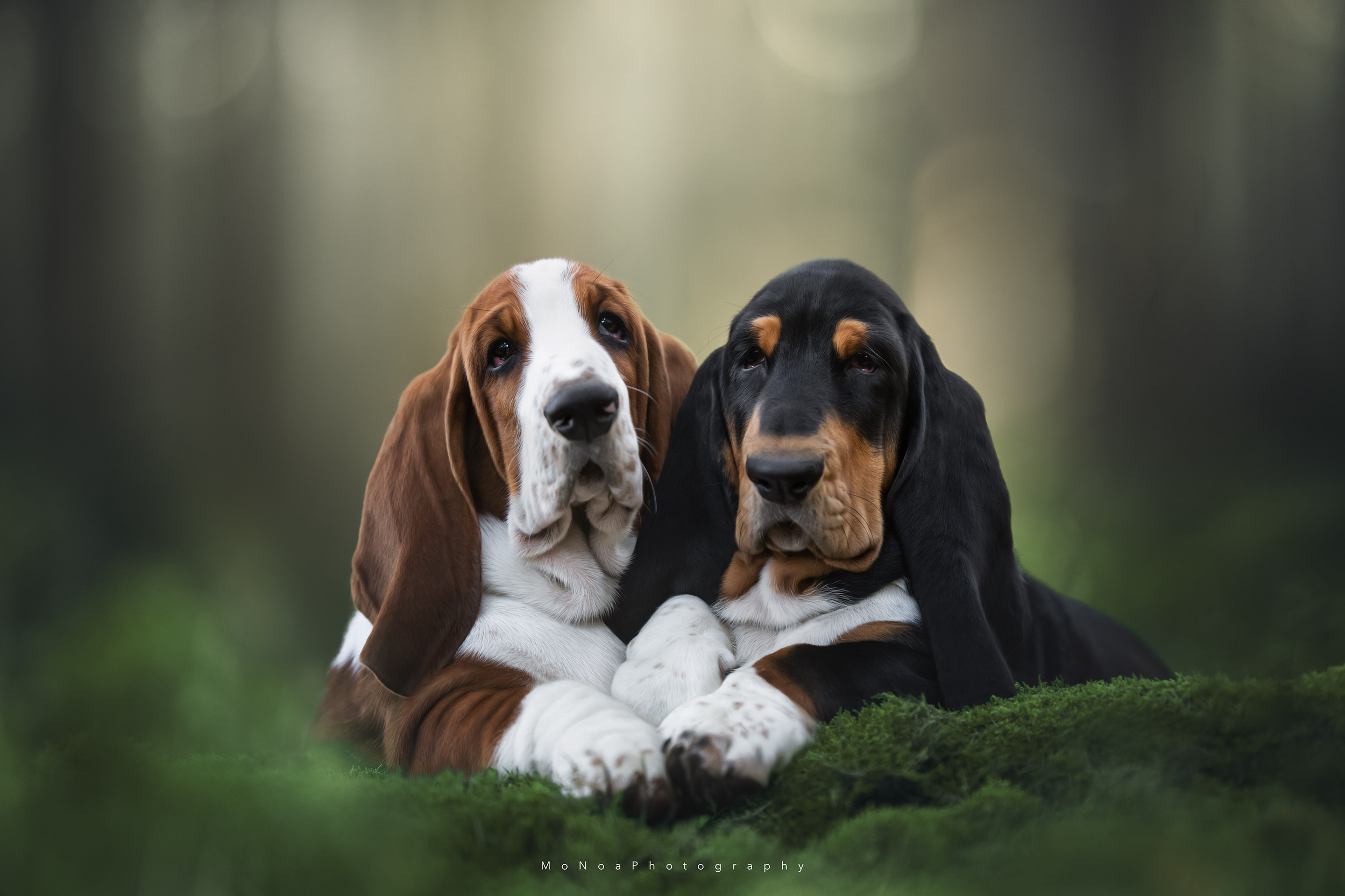 MEELOOP/PORTFOLIO OCHTEND | MoNoa Photography