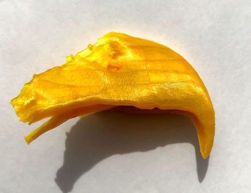 3D Printed Beak File ( For Non-Idaho Residents ) | Bopnw