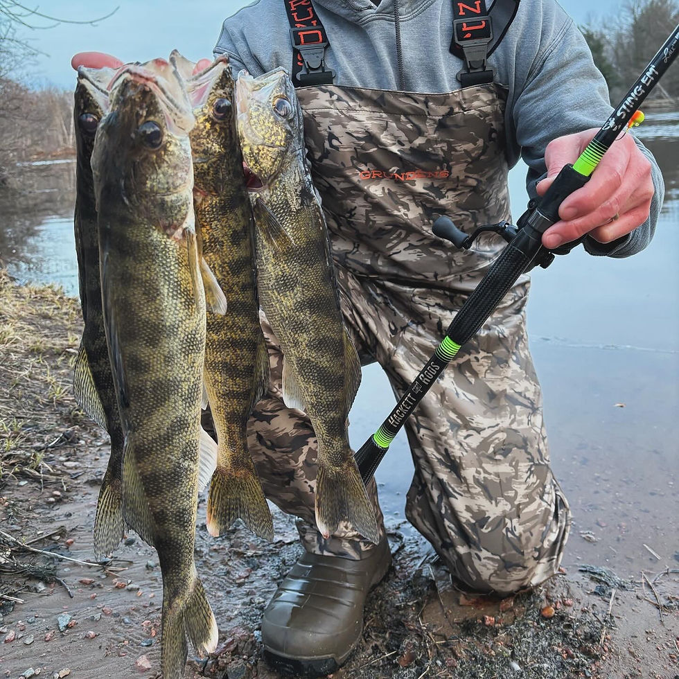 STING EM | Hackett Rods