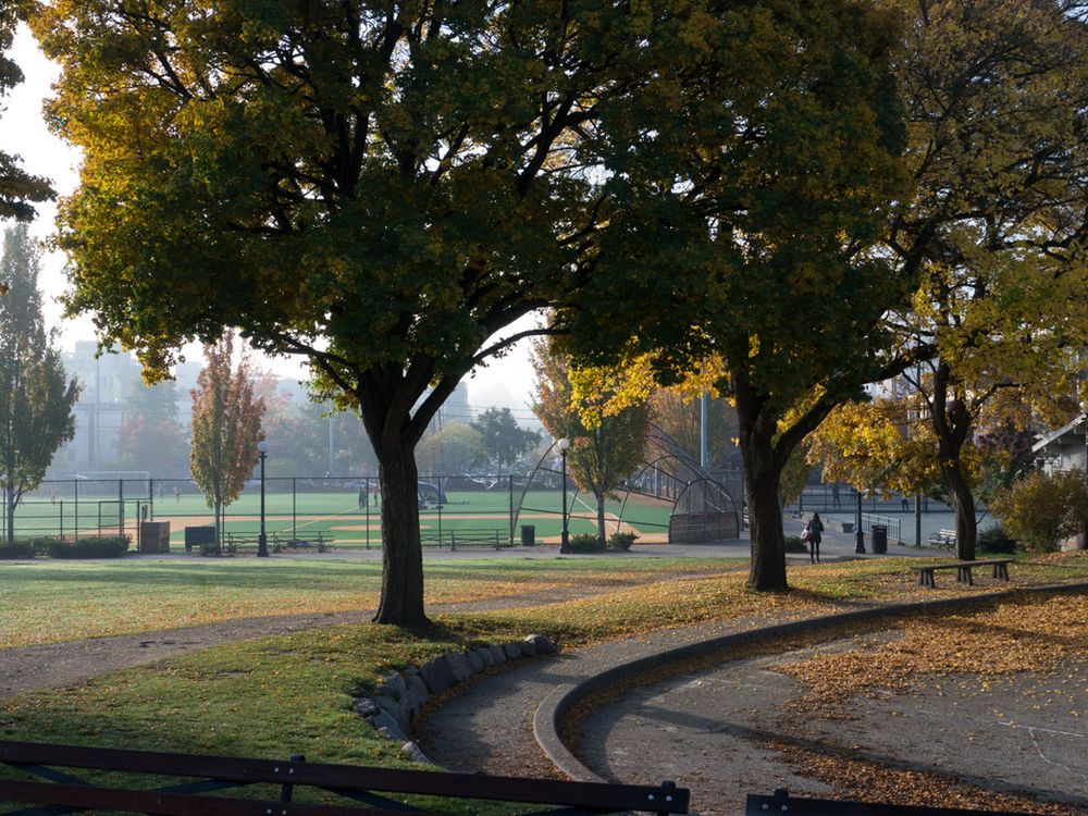 Landmark Profile: Cal Anderson Park