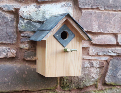 Starling Nest Box | Wild Shack