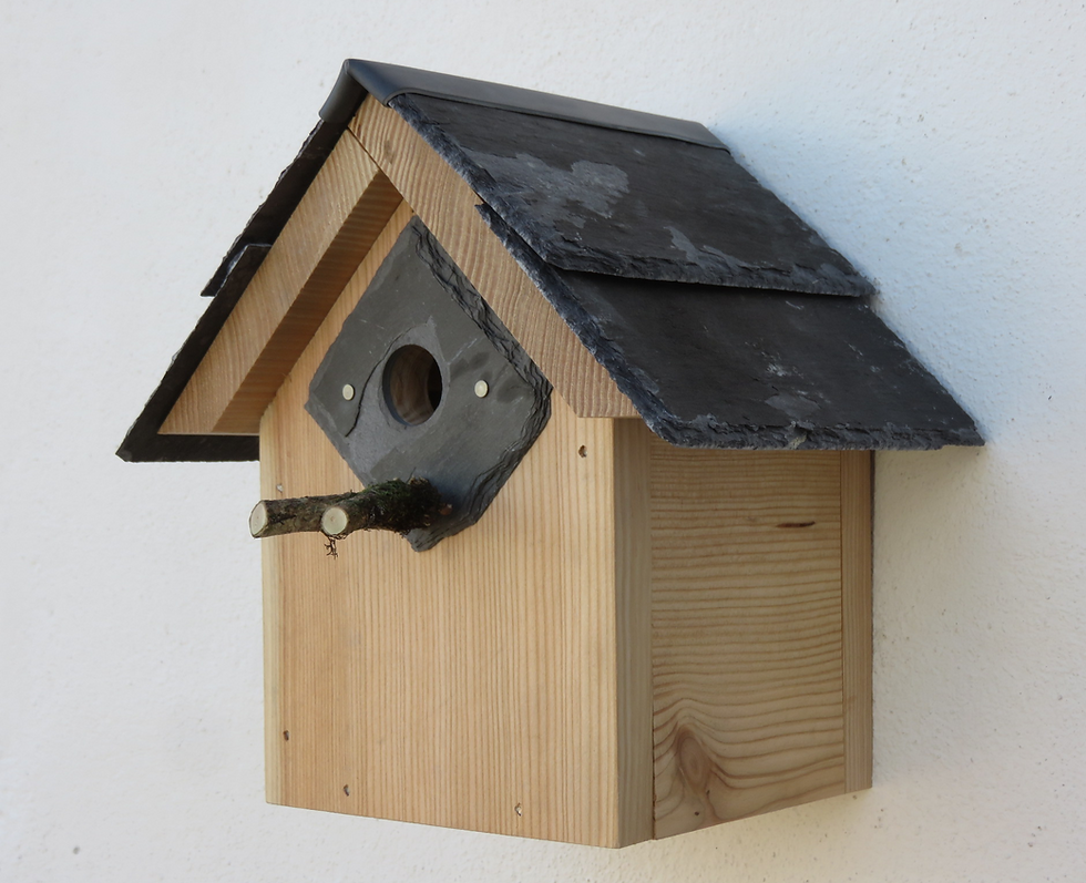 Bird Boxes | Wild Shack