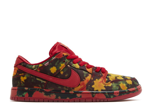 Nike Dunk Low SB x The Wizard Of Oz Poppy Field | NBASB